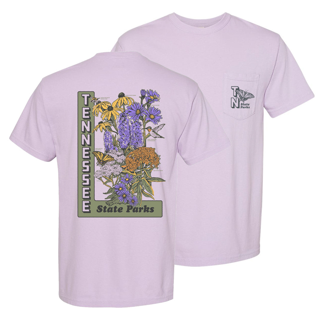 New – Friendly Arctic